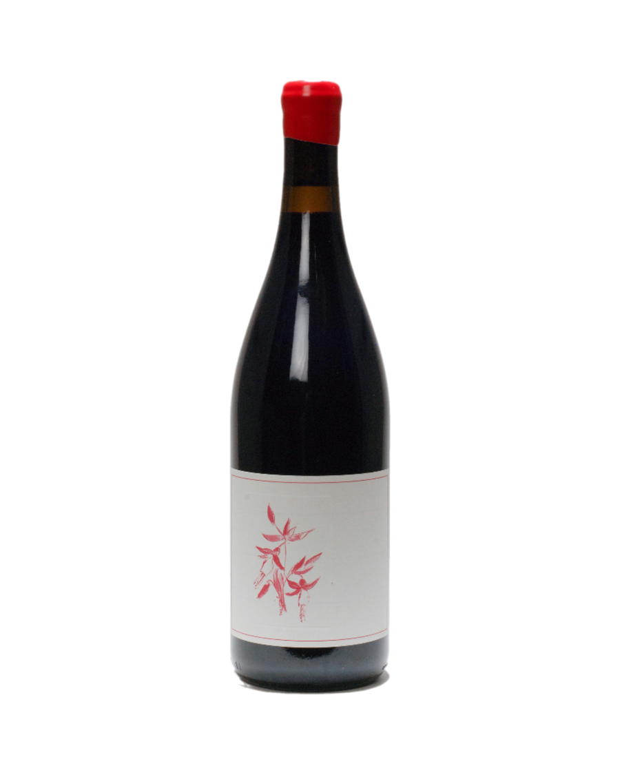 Arnot-Roberts – Roberson Wine